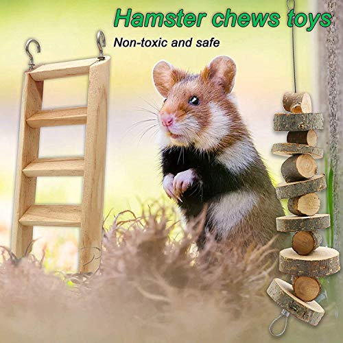 Hamster Chew Toys Set Natural Wooden Hamster Toys and Accessories Teeth Care Molar Toys for Guinea Pigs Syrian Hamster Rats Chinchillas Gerbils Hamster Swing Seesaw Pack of 10