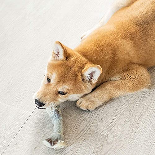 PETSLA Durable Nylon Dog Chew Toys for Aggressive Chewers Large Medium Small Breeds, Indestructible Tough Dog Toy for Dog Teething Puppies (Antler Shape, 7.16 inches)