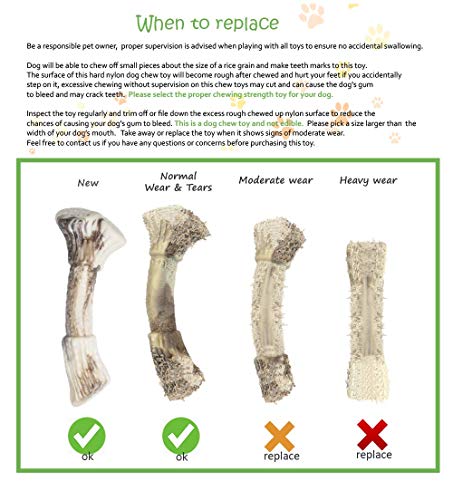 PETSLA Durable Nylon Dog Chew Toys for Aggressive Chewers Large Medium Small Breeds, Indestructible Tough Dog Toy for Dog Teething Puppies (Antler Shape, 7.16 inches)