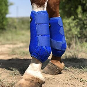 TGW RIDING Equine Sports Medicine Ventech Elite Front Leg Boot, Pair (Royal Blue, M)