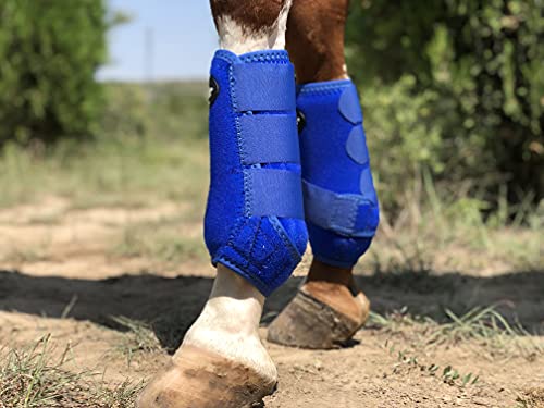 TGW RIDING Equine Sports Medicine Ventech Elite Front Leg Boot, Pair (Royal Blue, M)