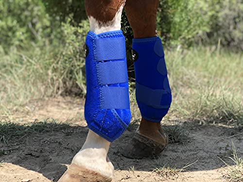 TGW RIDING Equine Sports Medicine Ventech Elite Front Leg Boot, Pair (Royal Blue, M)