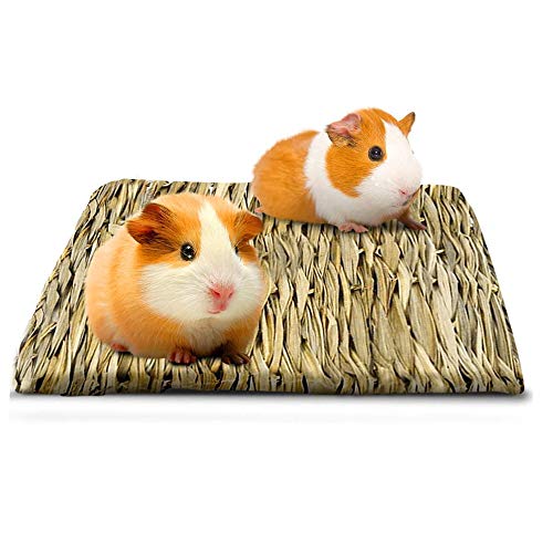 Meric Guinea Pig Grass Mat, Leopard Gecko & Hermit Crab Tank Background, Woven Hay Mat Safeguards Paws from Wire Cage, Treat Sore Hocks, Handmade Straw Bedding Mat for Small Animals, Bunny, Chinchilla