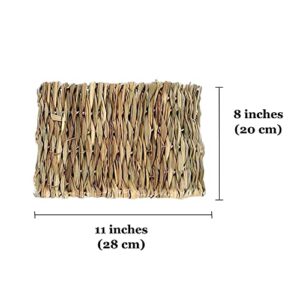 Meric Guinea Pig Grass Mat, Leopard Gecko & Hermit Crab Tank Background, Woven Hay Mat Safeguards Paws from Wire Cage, Treat Sore Hocks, Handmade Straw Bedding Mat for Small Animals, Bunny, Chinchilla