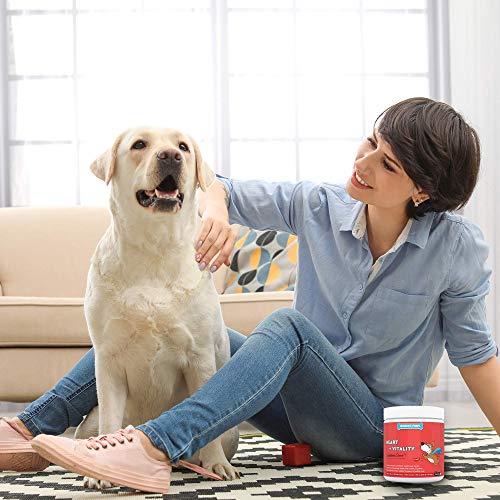 Wonder Paws Cardio Support for Dogs – Cardiovascular Chews Heart Health, Circulation, Energy & Weight Management - with L-Carnitine, Hawthorn Berry, Coenzyme Q10 & Taurine for Dogs – 90 Soft Chews