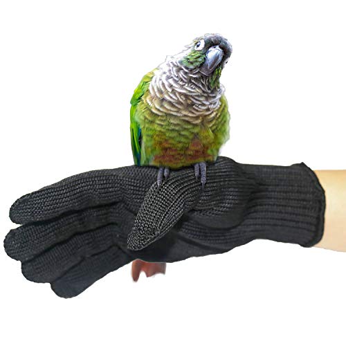 Bac-kitchen Bird Training Anti-Bite Gloves, Level 5 Protection, Parrot Chewing Working Safety Protective Gloves for Small Animal Pet Squirrels Hamster Parrotlets Cockatiels Finch Macaw (2 Pairs)