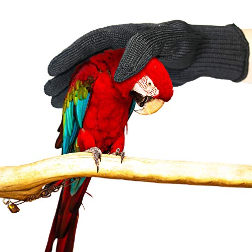 Bac-kitchen Bird Training Anti-Bite Gloves, Level 5 Protection, Parrot Chewing Working Safety Protective Gloves for Small Animal Pet Squirrels Hamster Parrotlets Cockatiels Finch Macaw (2 Pairs)