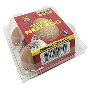 cackle hatchery ceramic nest eggs (4ct) (4 brown)