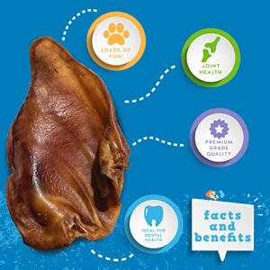 Jack&Pup Whole Pig Ears for Dogs - Extra Thick Large Pigs Ears - Premium Dog Pig Ear Treats - Natural Dog Pork Chews; Excellent Rawhide Alternative (10 Pack)