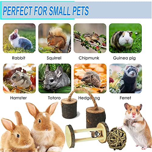 13PCS Guinea Pigs Toys, Rabbit Toys Set Natural Wooden Hamster Toys for Teeth Care, Best Choose for Rabbit Guinea Pig Rat Bunny Chinchillas Gerbils Chew