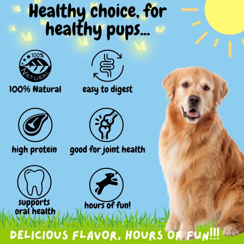 BULLYSTICKS & MORE 6 Inch Bully Sticks (Regular - 16 Pack) | Bully Sticks for Medium Dogs | 100% Grass Fed Beef | Dog Parents Choice Bully Stick Dog Chews | No Hide Bully Bones