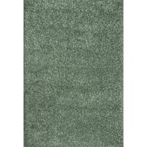 nuLOOM Belleza Shag Area Rug, 4' x 6', Green