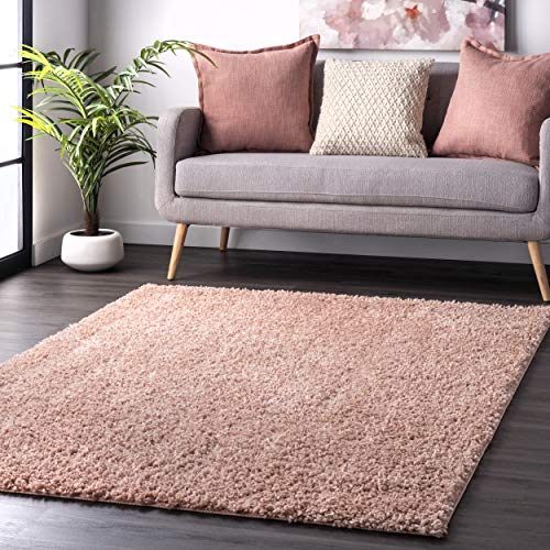 nuLOOM Belleza Shag Accent Rug, 2' x 3', Pink