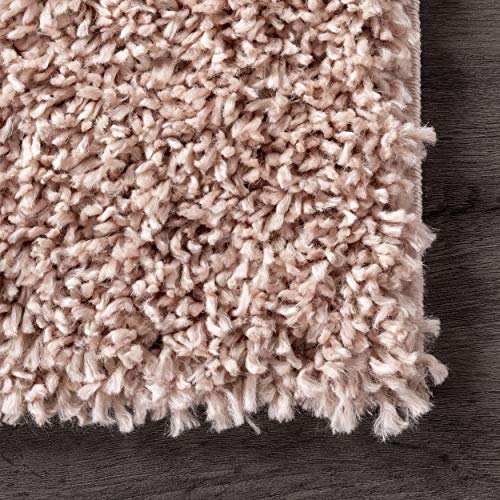 nuLOOM Belleza Shag Accent Rug, 2' x 3', Pink