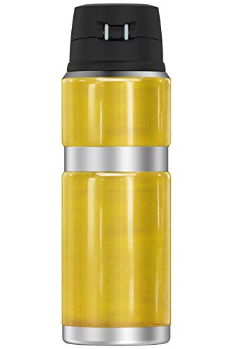 Flash Character, THERMOS STAINLESS KING Stainless Steel Drink Bottle, Vacuum insulated & Double Wall, 24oz