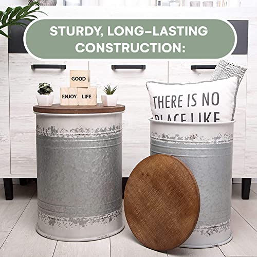 Hallops Farmhouse Accent Side Table | Galvanized Rustic Coffee Table | Metal Storage Ottoman Wood Cover with Stand| Farmhouse Decor Storage Bench (Set of 2, Distressed White)