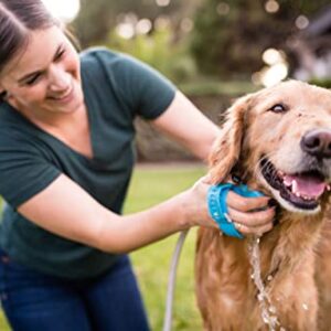 Aquapaw 4 in 1 Dog Bath Brush Pro for Dog Washing, Scrubbing, Massaging & Grooming | As Seen on Shark Tank - Fast & Easy Indoor & Outdoor Pet Shower & Sprayer Attachment | Includes 8-Foot Hose | Blue