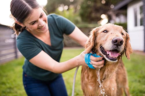 Aquapaw 4 in 1 Dog Bath Brush Pro for Dog Washing, Scrubbing, Massaging & Grooming | As Seen on Shark Tank - Fast & Easy Indoor & Outdoor Pet Shower & Sprayer Attachment | Includes 8-Foot Hose | Blue