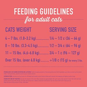 Tiki Cat Born Carnivore High Protein, Chicken, Herring & Salmon Meal, Grain-Free Baked Kibble to Maximize Nutrients, Dry Cat Food, 5.6 lbs. Bag