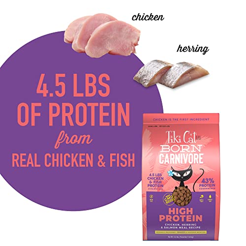 Tiki Cat Born Carnivore High Protein, Chicken, Herring & Salmon Meal, Grain-Free Baked Kibble to Maximize Nutrients, Dry Cat Food, 5.6 lbs. Bag