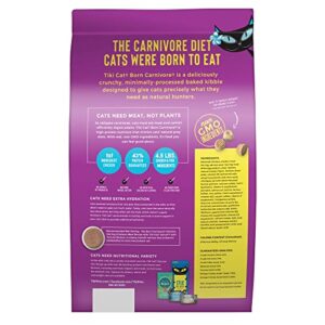 Tiki Cat Born Carnivore High Protein, Chicken, Herring & Salmon Meal, Grain-Free Baked Kibble to Maximize Nutrients, Dry Cat Food, 5.6 lbs. Bag