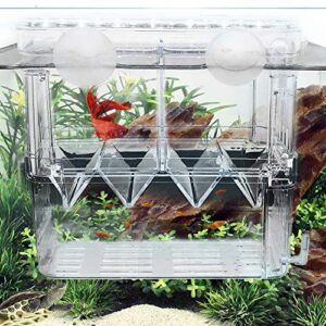 fortune-star fish breeding box aquarium fish tank hatchery incubator breeder box fish breeding tanks acrylic white breeder isolation divider hatching boxes with suction cups