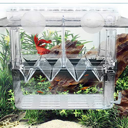 Fortune-star Fish Breeding Box Aquarium Fish Tank Hatchery Incubator Breeder Box Fish Breeding Tanks Acrylic White Breeder Isolation Divider Hatching Boxes with Suction Cups