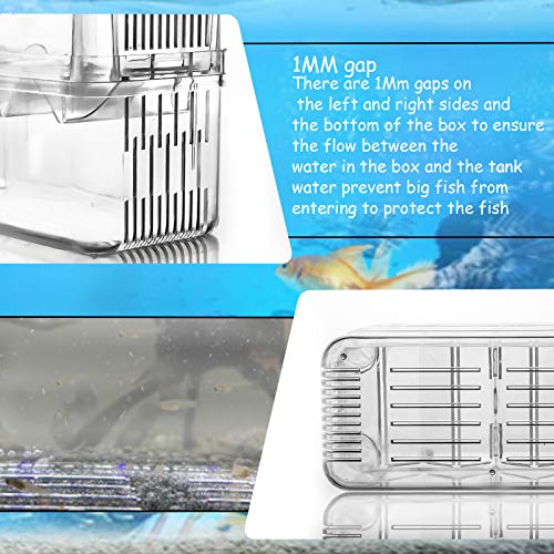 Fortune-star Fish Breeding Box Aquarium Fish Tank Hatchery Incubator Breeder Box Fish Breeding Tanks Acrylic White Breeder Isolation Divider Hatching Boxes with Suction Cups