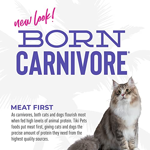 Tiki Cat Born Carnivore Optimal Weight, Turkey, Grain-Free Baked Kibble to Maximize Nutrients, Dry Cat Food, 2.8 lbs. Bag