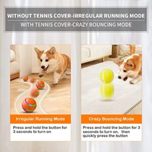 PetDroid Interactive Dog Ball Toys,Durable Motion Activated Automatic Rolling Ball Toys for Puppy/Small/Medium Dogs,USB Rechargeable (Orange)