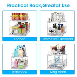 Simple Trending Stackable 2-Tier Vertical Bathroom Storage Under Sink Cabinet Organizer, Toilet Vanity Organizer Drawers, Chrome