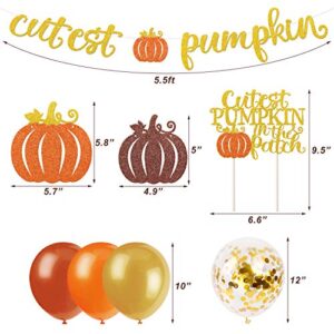 Pumpkin Party Decorations Cutest Pumpkin in the Patch Banner Little Pumpkin Baby Shower Decorations Cake Topper Fall Party Balloons for Fall Birthday Party Decorations Thanksgiving Party Supplies