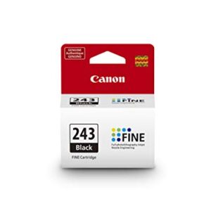 Canon CL-246XL Compatible to MG2525,MG3020,TR4520/4522,TS202,TS302,TS3120/3122,TS3320/3322 Printers & PG-243 Compatible to MG2525,MG3020,TR4520/4522,TS202,TS302,TS3120/3122,TS3320/3322 Printers