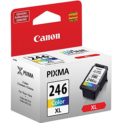 Canon CL-246XL Compatible to MG2525,MG3020,TR4520/4522,TS202,TS302,TS3120/3122,TS3320/3322 Printers & PG-243 Compatible to MG2525,MG3020,TR4520/4522,TS202,TS302,TS3120/3122,TS3320/3322 Printers