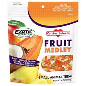 Fruit Medley Treat - Healthy Natural Dried Fruit Treat - Sugar Gliders, Squirrels, Chinchillas, Prairie Dogs, Opossums, Marmosets, Monkeys, Parrots, Birds, Rabbits, Guinea Pigs & Small Pets (4 oz.)