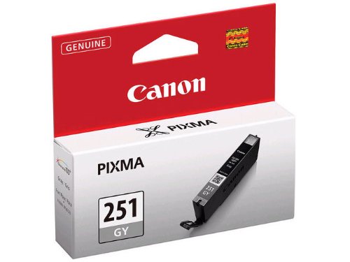 Canon PGI-250BK/CLI-251CMY Black/Color Ink Cartridges & PP-201 Paper Combo Pack and CLI-251 Gray Ink Tank (6517B001)