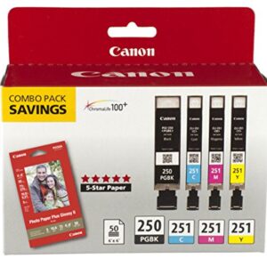 Canon PGI-250BK/CLI-251CMY Black/Color Ink Cartridges & PP-201 Paper Combo Pack and CLI-251 Gray Ink Tank (6517B001)