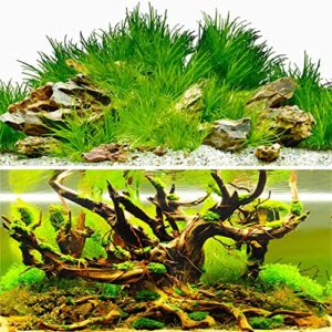 new grass, stones, tree background aquarium background decoration 25 x 15 inches