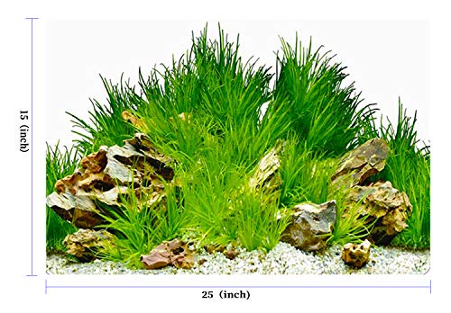 New Grass, Stones, Tree Background Aquarium Background Decoration 25 x 15 inches