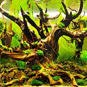 New Grass, Stones, Tree Background Aquarium Background Decoration 25 x 15 inches