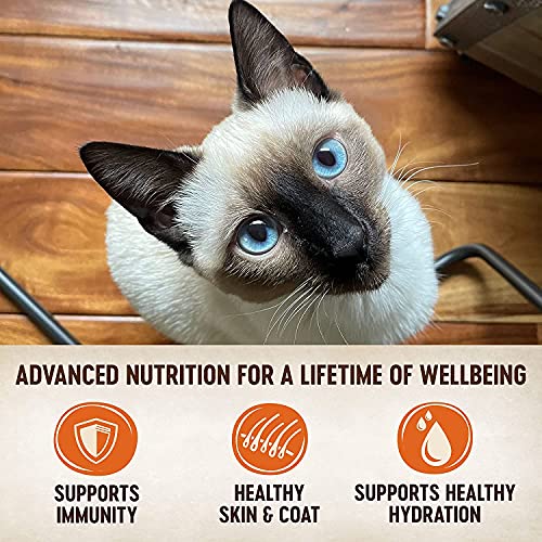 Wellness Natural Premium Canned Cat Wet Food Pate - 12 Pack Cans Variety Bundle Pack 4 Flavor - (Chicken,Beef, Salmon & Turkey) W/HS Pet Food Bowl - (5 Oz Cans)