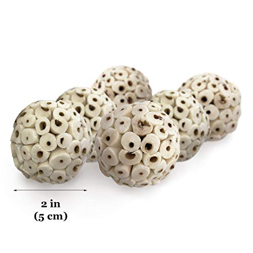 Meric 6 Pack Sola Atta Foraging Balls, 2-inches, Chewing Bird Toys, Satisfies Pecking Instincts in Parrots, Cockatiels, Parakeets, Chinchillas, and Guinea Pigs,Unique Addition to DIY Home Decor