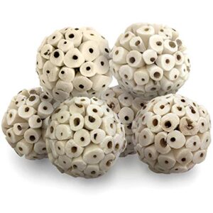 Meric 6 Pack Sola Atta Foraging Balls, 2-inches, Chewing Bird Toys, Satisfies Pecking Instincts in Parrots, Cockatiels, Parakeets, Chinchillas, and Guinea Pigs,Unique Addition to DIY Home Decor