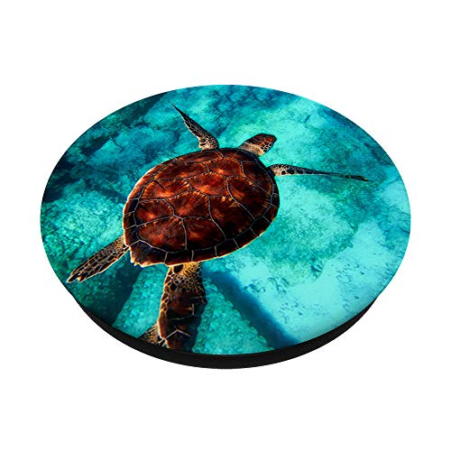 Sea Turtle Blue & Green Ocean Sea Waters a Sea Creature Gift PopSockets PopGrip: Swappable Grip for Phones & Tablets