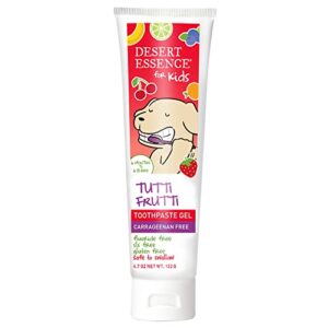 desert essence, tutti frutti toothpaste kids gel, 4.7 oz. - safe to swallow, fluoride free, sls free, gluten-free, vegan, plant powered formula, great tasting, removes plaque and buildup