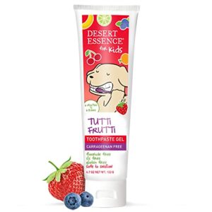 Desert Essence, Tutti Frutti Toothpaste Kids Gel, 4.7 oz. - Safe to Swallow, Fluoride Free, SLS Free, Gluten-Free, Vegan, Plant Powered Formula, Great Tasting, Removes Plaque and Buildup