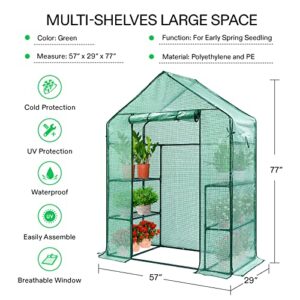 VIVOSUN 57 x 29 x 77-Inch Mini Walk-in Green House with Windows and Anchors, Plant Garden Hot House