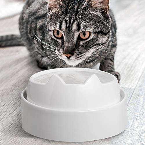 CatGuru Whisker Stress Free Cat Water Bowl, Reliefs Whisker Fatigue, Wide Cat Dish, Non Slip Cat Feeding Bowls, Shallow Cat Food Water Bowls, Non Skid Pet Bowls for Cats (Water Bowl, Marshmallow)