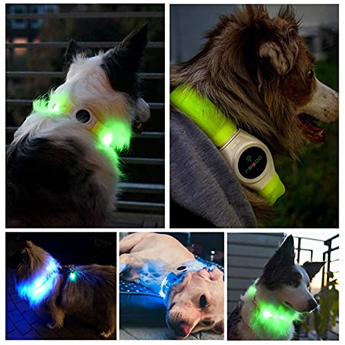 LaRoo LED Light Up Dog Collar, Cutable Silicon USB Rechargeable Glow Light Collar for All Dogs, Waterproof 3-Modes Flashing Dog Collar for Dark Outdoor Training Playing (25.5 inch/65 cm)