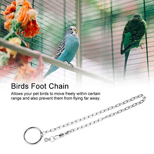 ViaGasaFamido Bird Leash, Stainless Steel Bird Foot Chain with Ring Parrot Ankle Foot Ring Anti-bite Outdoor Flying Training Rope(Grey Parrot)